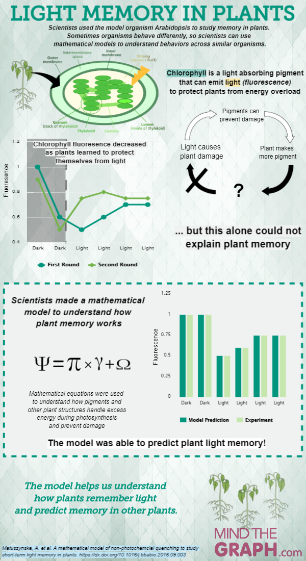 Infographic: Light Memory in Plants – i am become computational